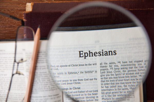 IBBS Ephesians 2: 20-22 part two – The Wildberry Patch